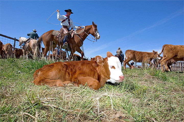 The Chatburn Ranch - Southern Idaho Living
