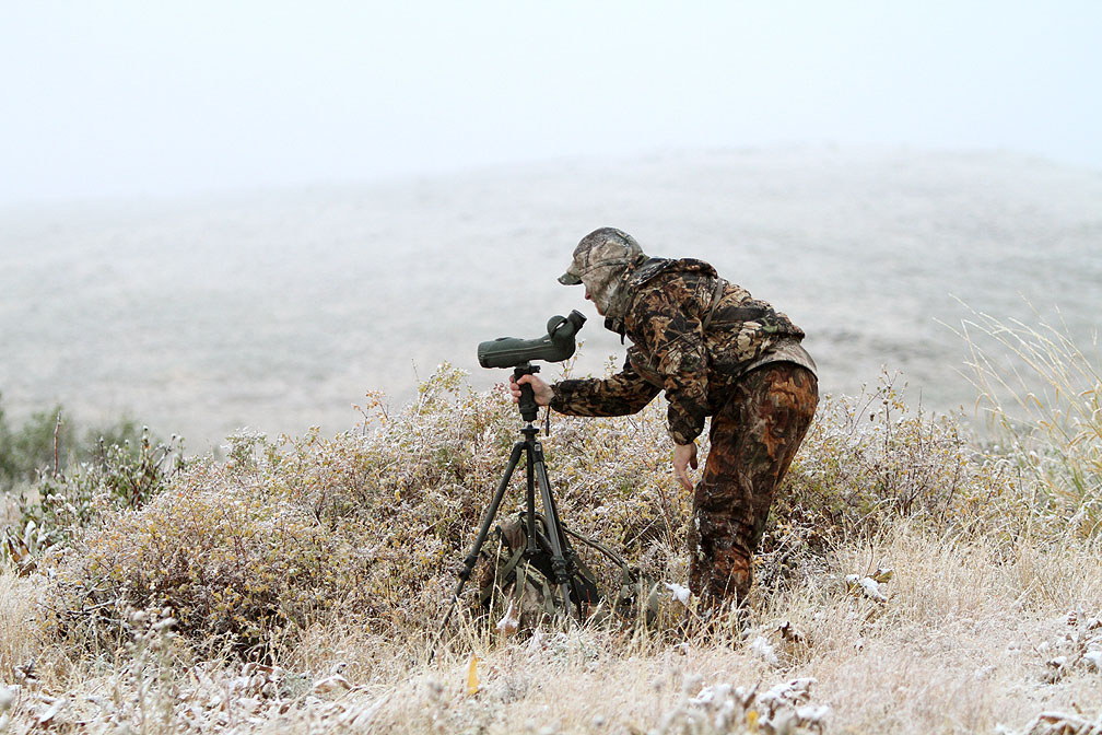 Unit 54 Trophy Elk Hunt » Southern Idaho Living